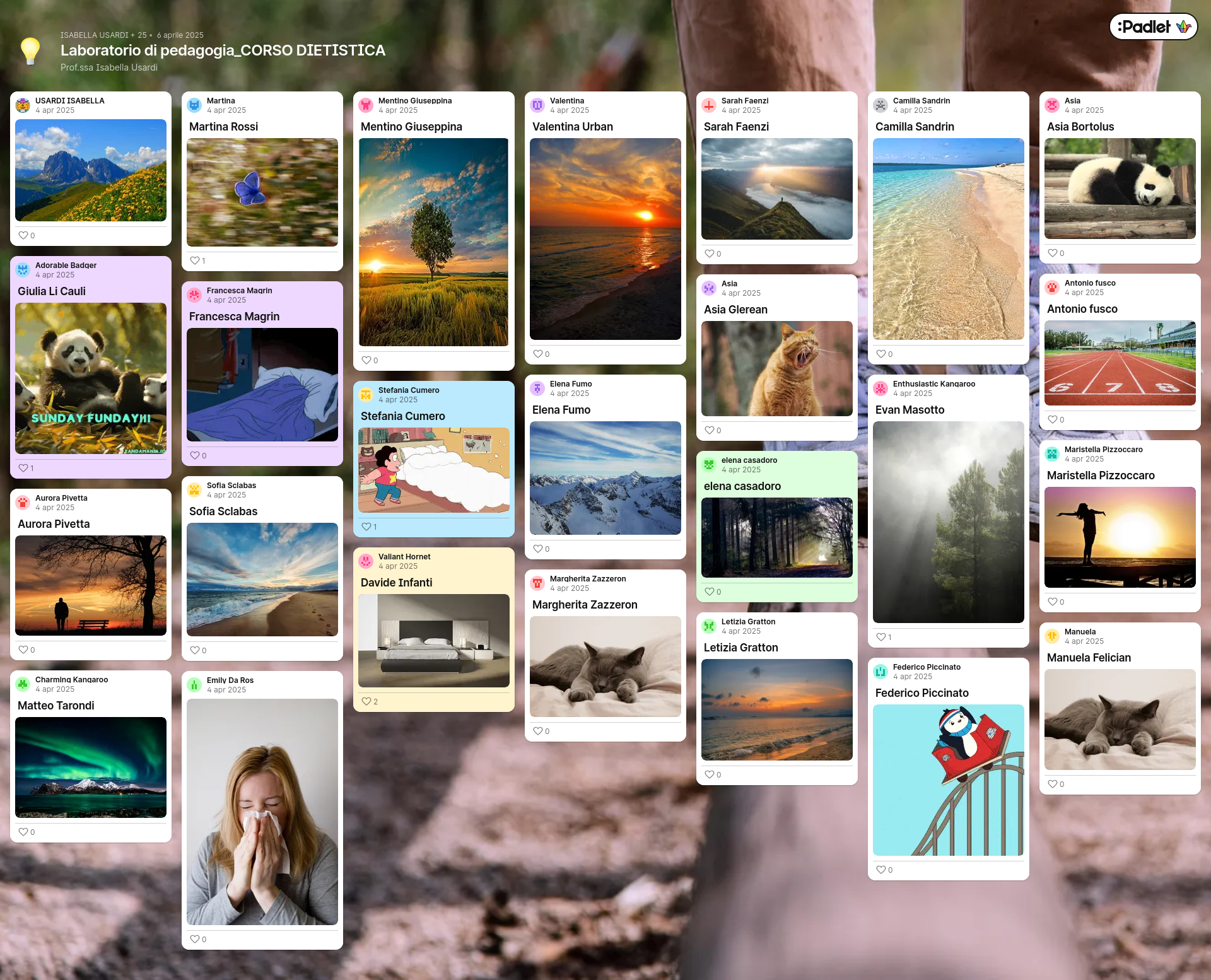ME22030ME-62024: PRESENTAZIONE CON PADLET | Moodle@Units